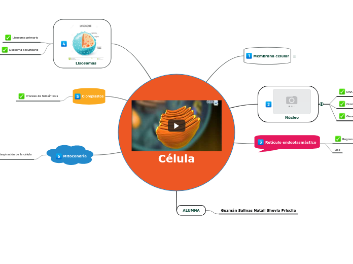 Célula - Mind Map